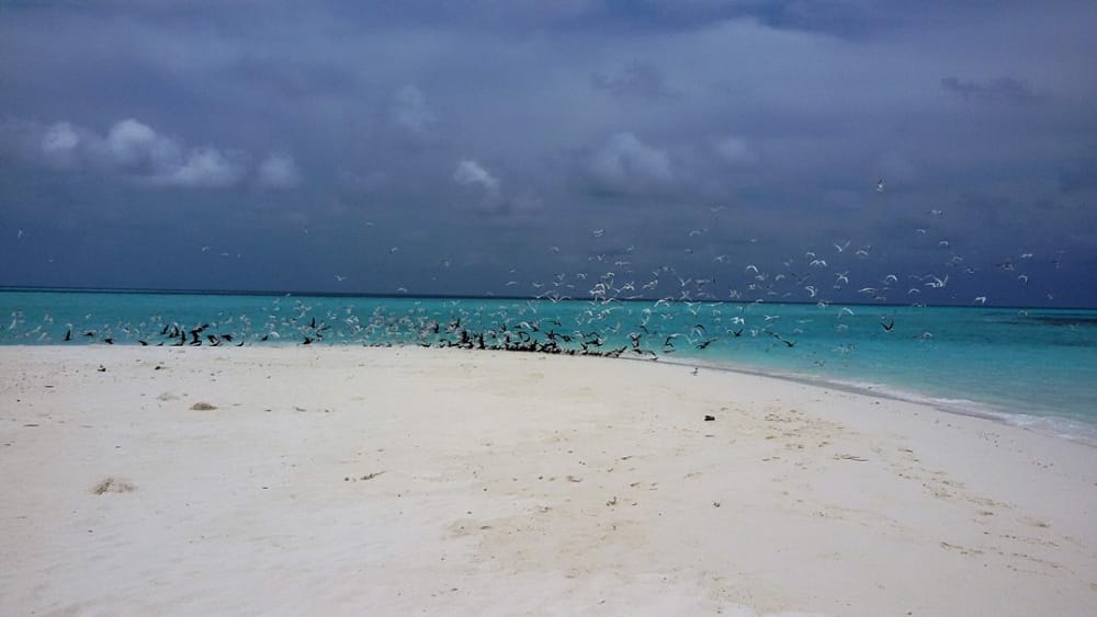 Maldives Photos, Images | Maldives Traveller